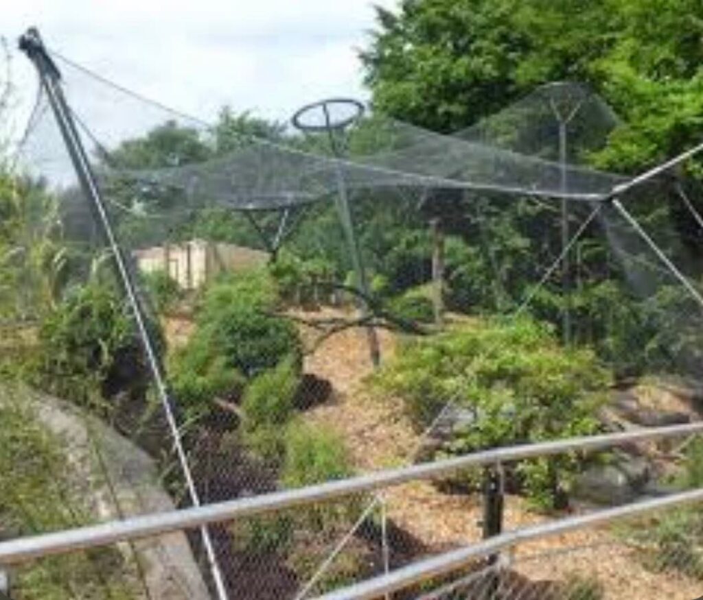 Aviary Netting - 28mm - MG Hand Reared Birds