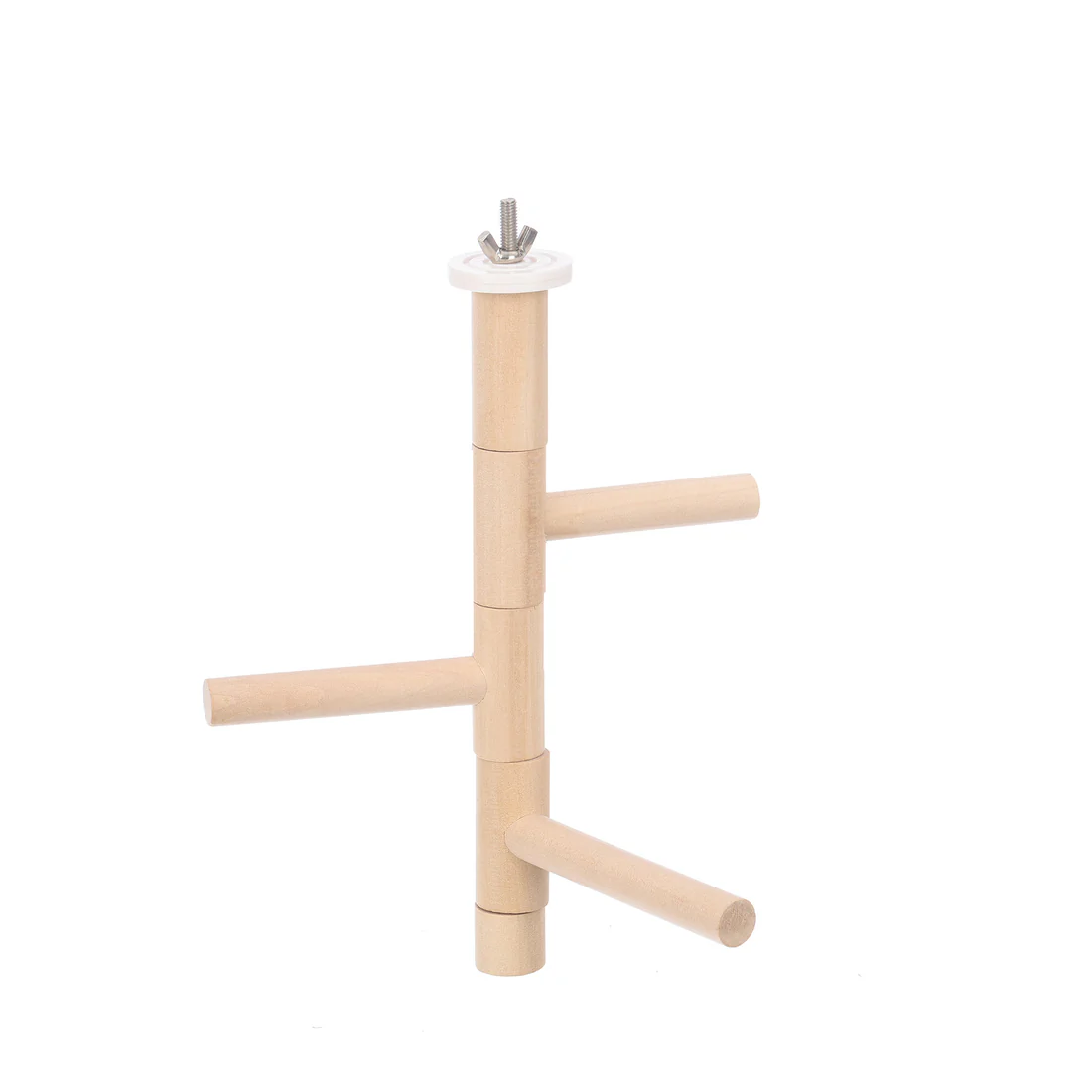 Spiral Perch - MG Hand Reared Birds