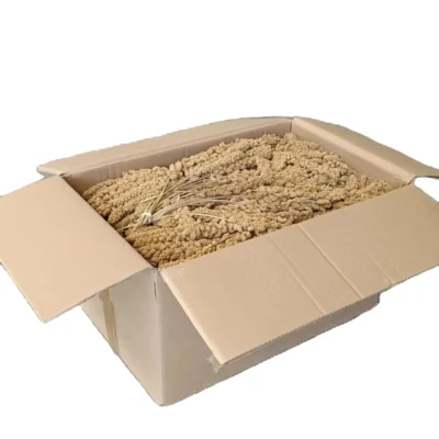 Box Millet Sprays - 15kg - MG Hand Reared Birds