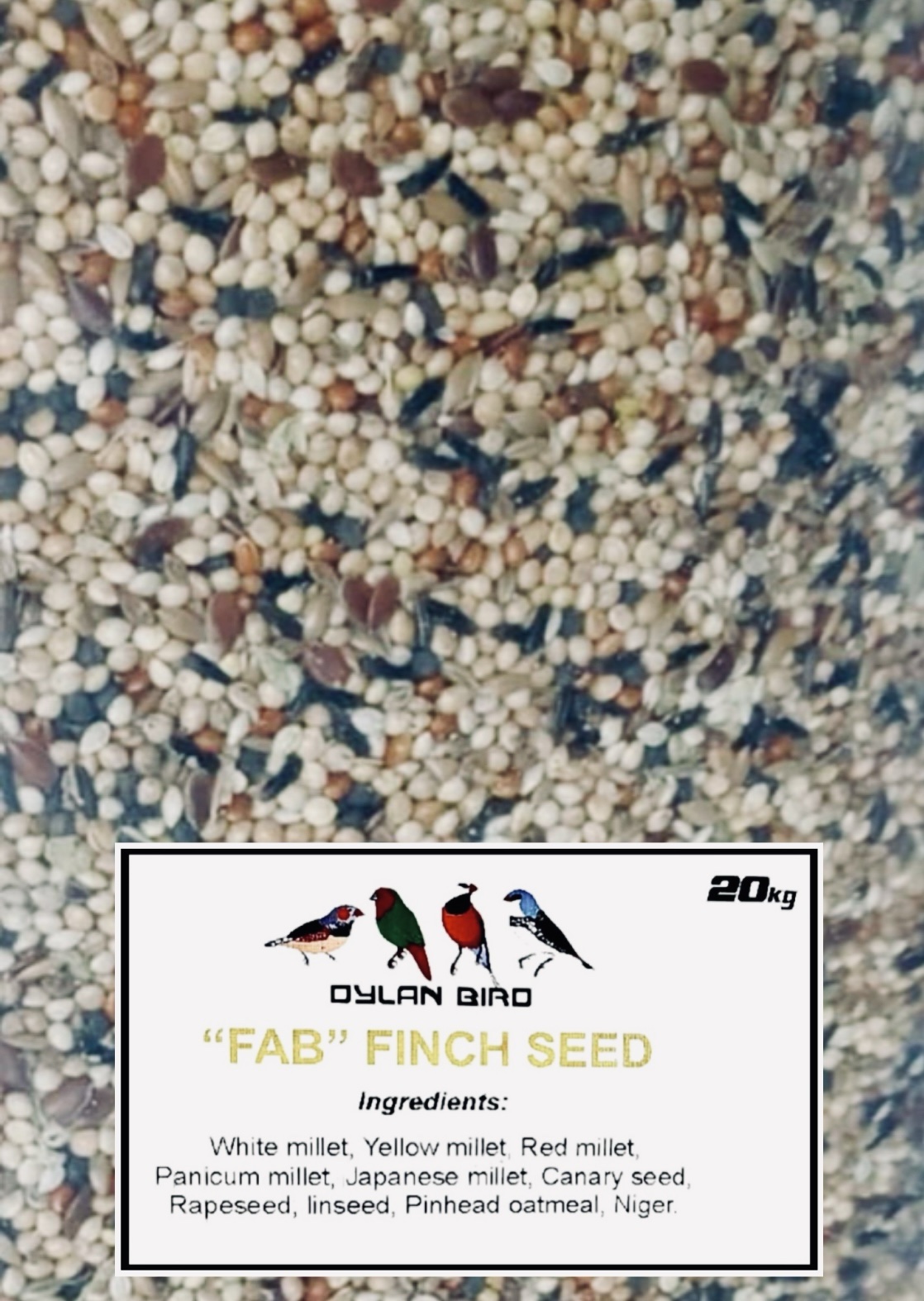 Dylan Bird "FAB" Finch Seed - MG Hand Reared Birds